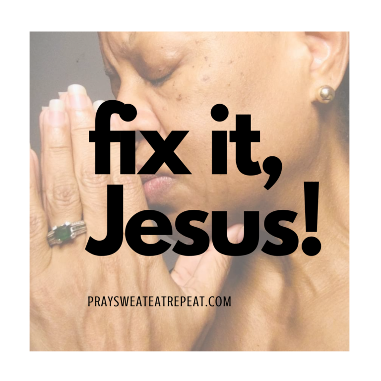 We Need You to Fix It Jesus! - Pray Sweat Eat Repeat